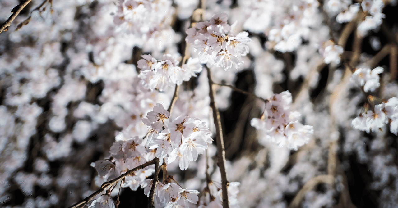 2023 Mar. Training Summary｜mat