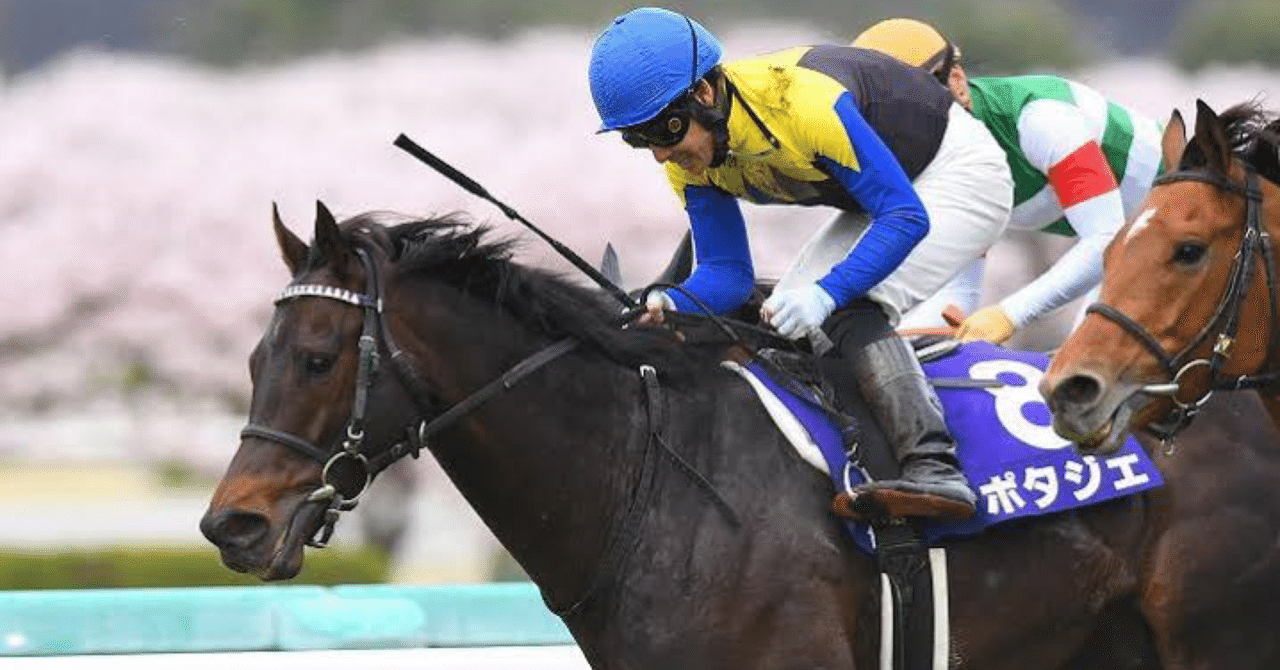 「あてのない旅の先に」〜大阪杯2023〜｜kacky_aaa3｜note