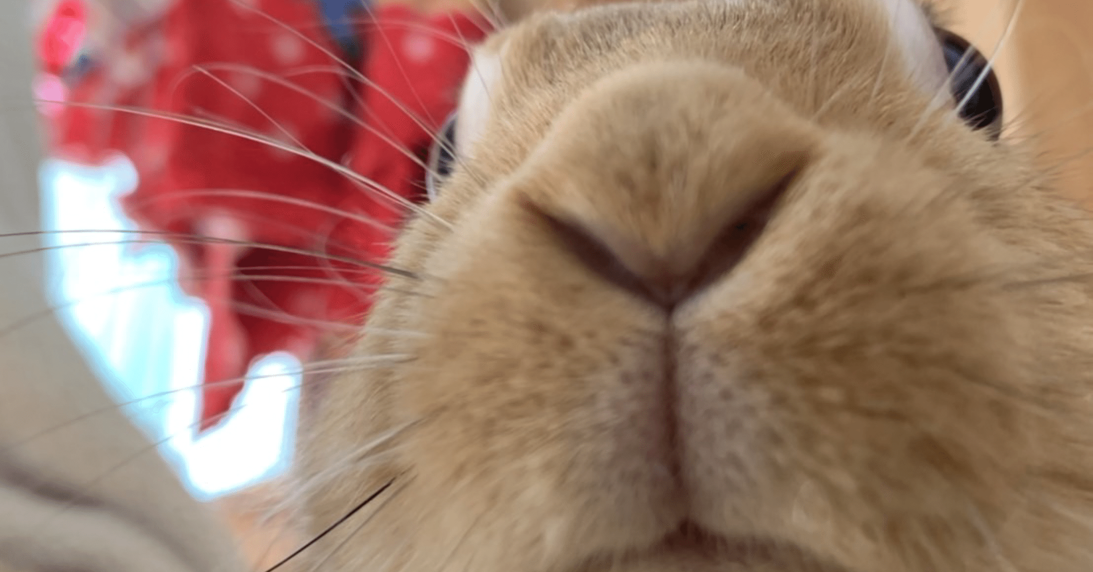 teppei_marino｜note