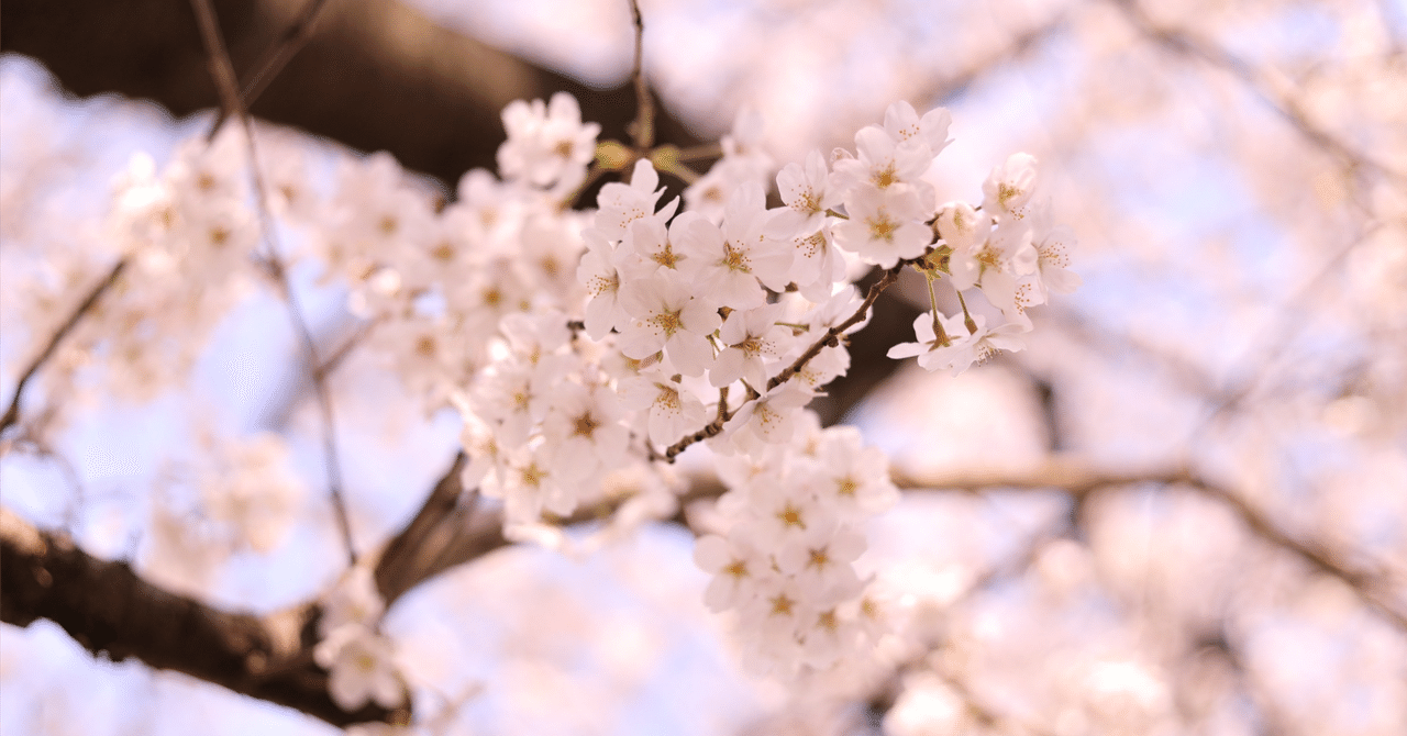 大学関連情報 これを見て！｜kana｜note