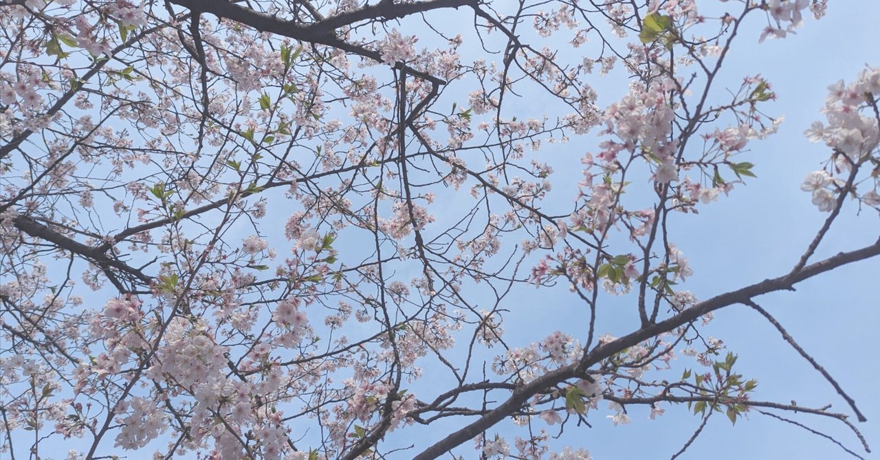 TypeScript 入門の記録（49）プロを目指す人のためのTypeScript入門（33）関数の作り方（3）｜jnkykn｜note