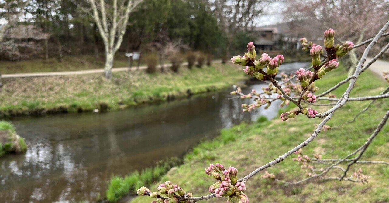 No.80 自分で自分の物語にピリオドを打っていないか｜Masa｜note