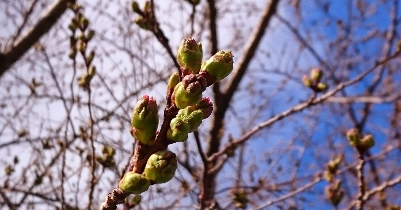 奇跡講座WB実践275 今日、神の癒しの声が一切を保護する｜(Linp&Ruru)本当の自分を知り、本当の自分として生きる