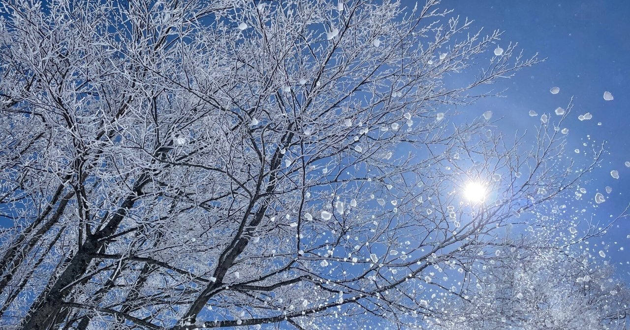 スキー&スノーボード部活動報告｜株式会社nobitel（ノビテル） 公式note