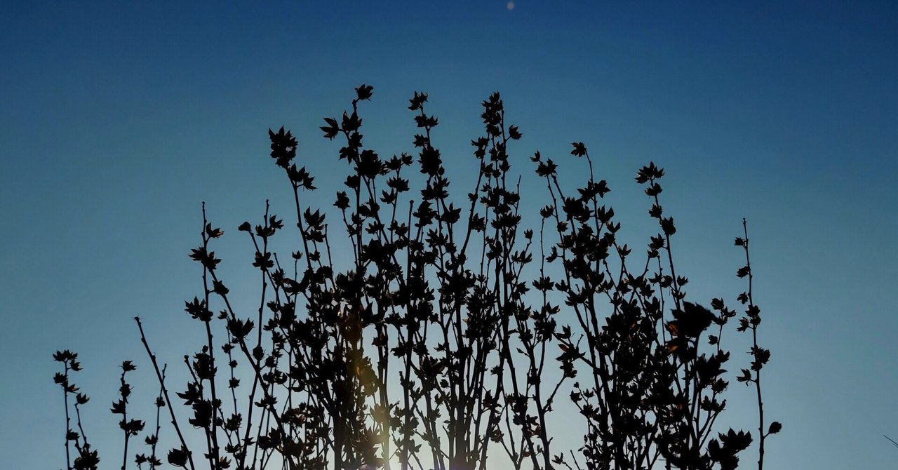 良い子になりすぎてしまっている人へ 1｜miyoshi