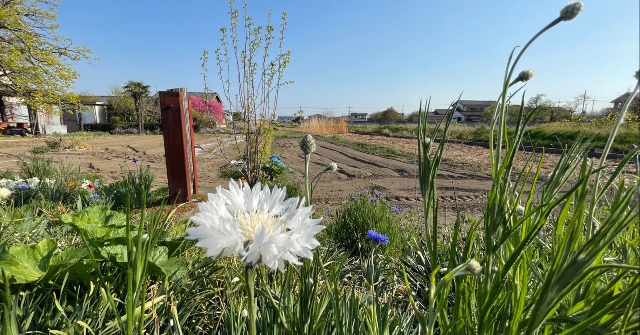 小説『GM』全ノートvol.9。直接的に書かれない背景を、どう描くか？20230403mon284｜蒼井瀬名（Aoi sena）｜note