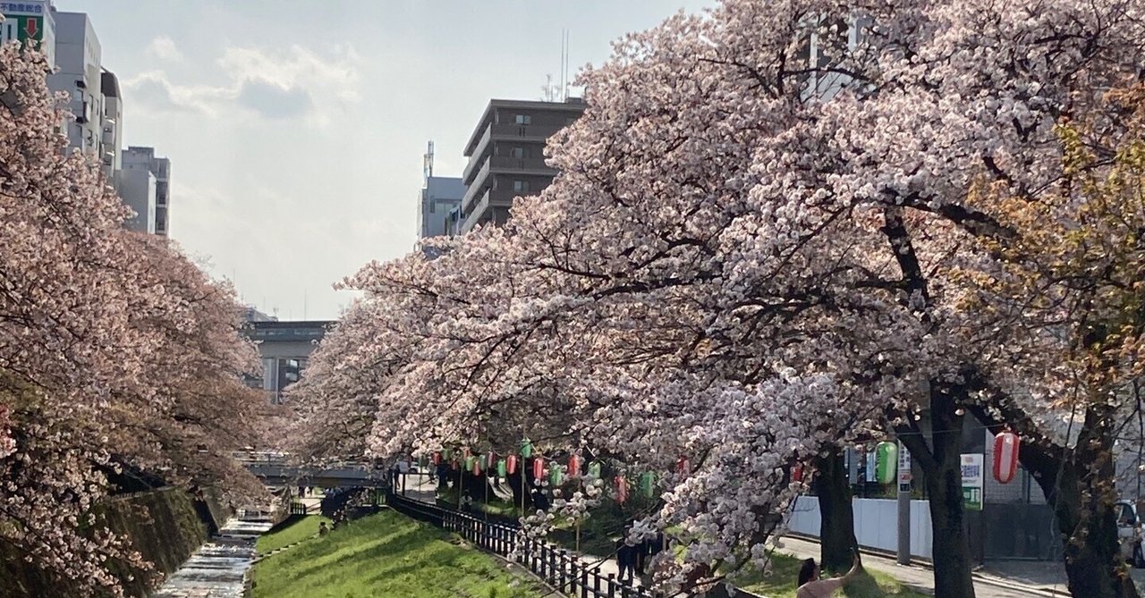 #140:春に立てる裏目標｜susumu.y｜note