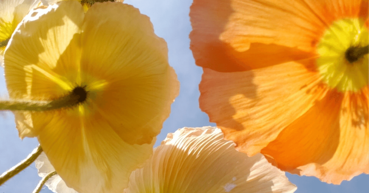 ChatGPT活用の勉強会に参加したよ（#RPALT）｜neji bit