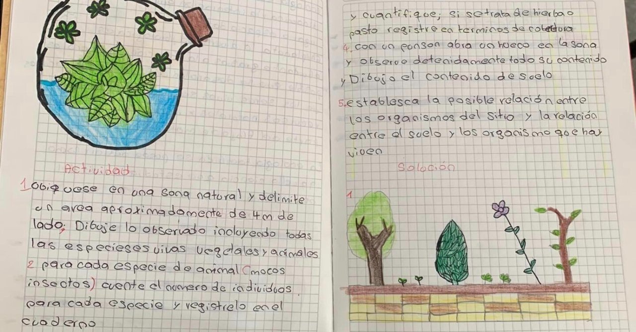 活動報告：2｜Yumi｜note