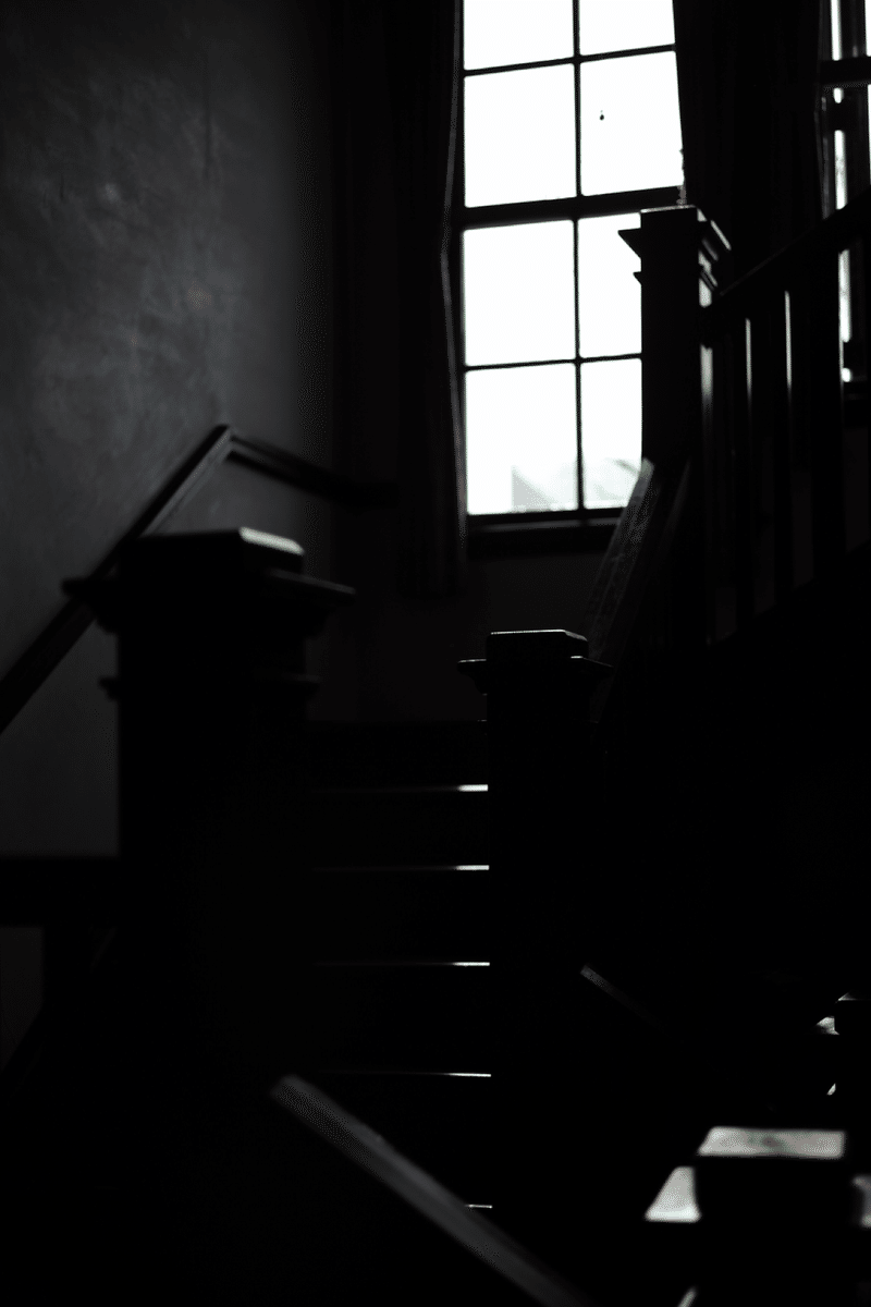 snap 2023.4.2｜shirasu camera