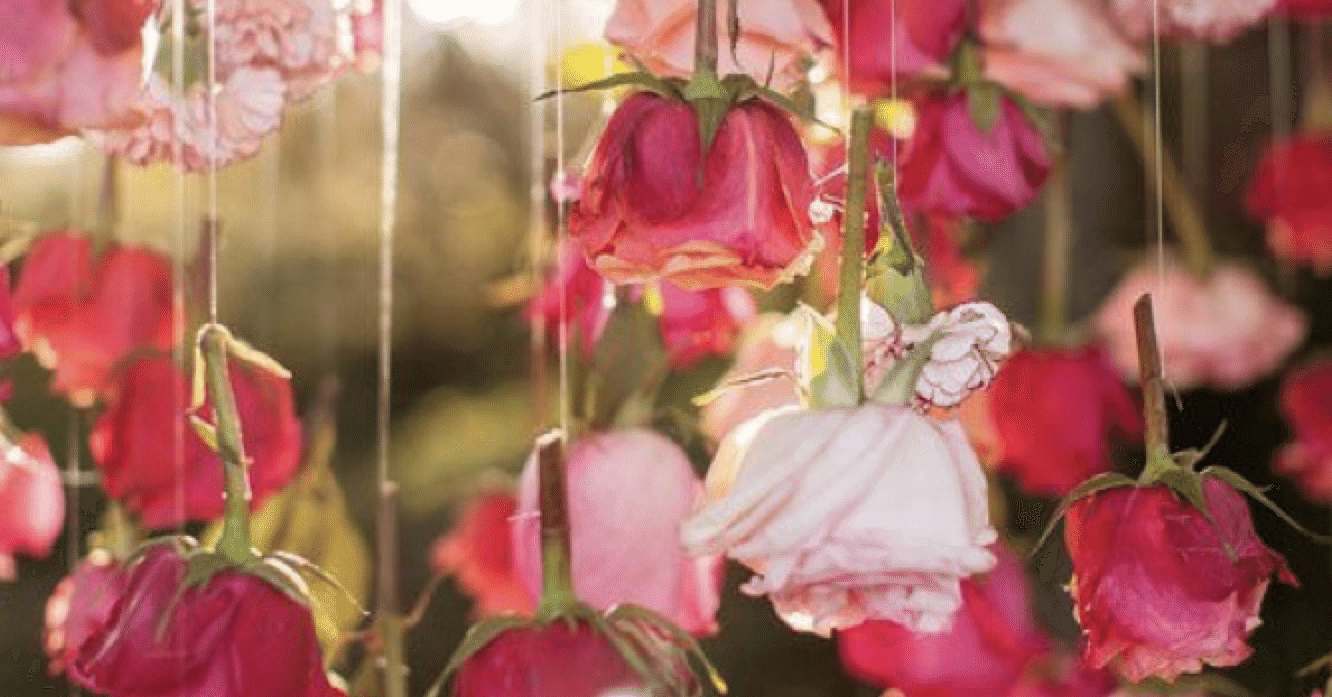 Itsuki🩵マインドデザイナー｜note