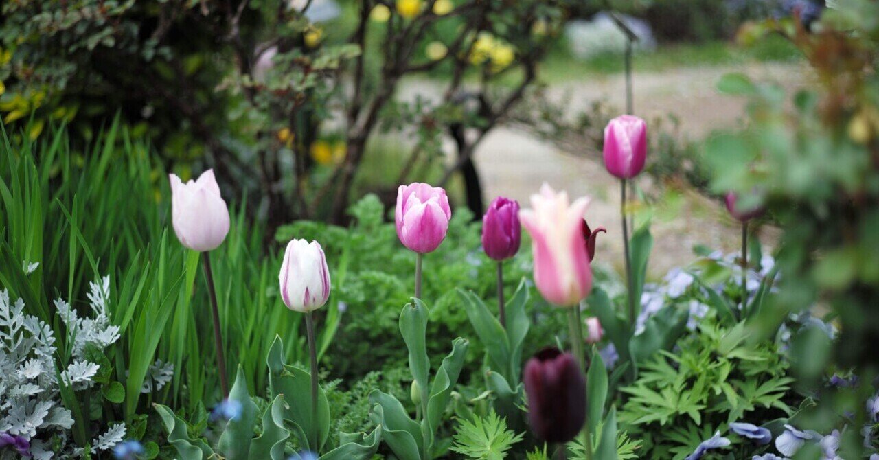 flower｜shirasu camera｜note