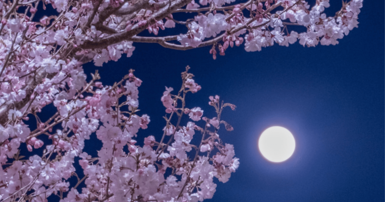 名もなき花より（再掲）｜la saki