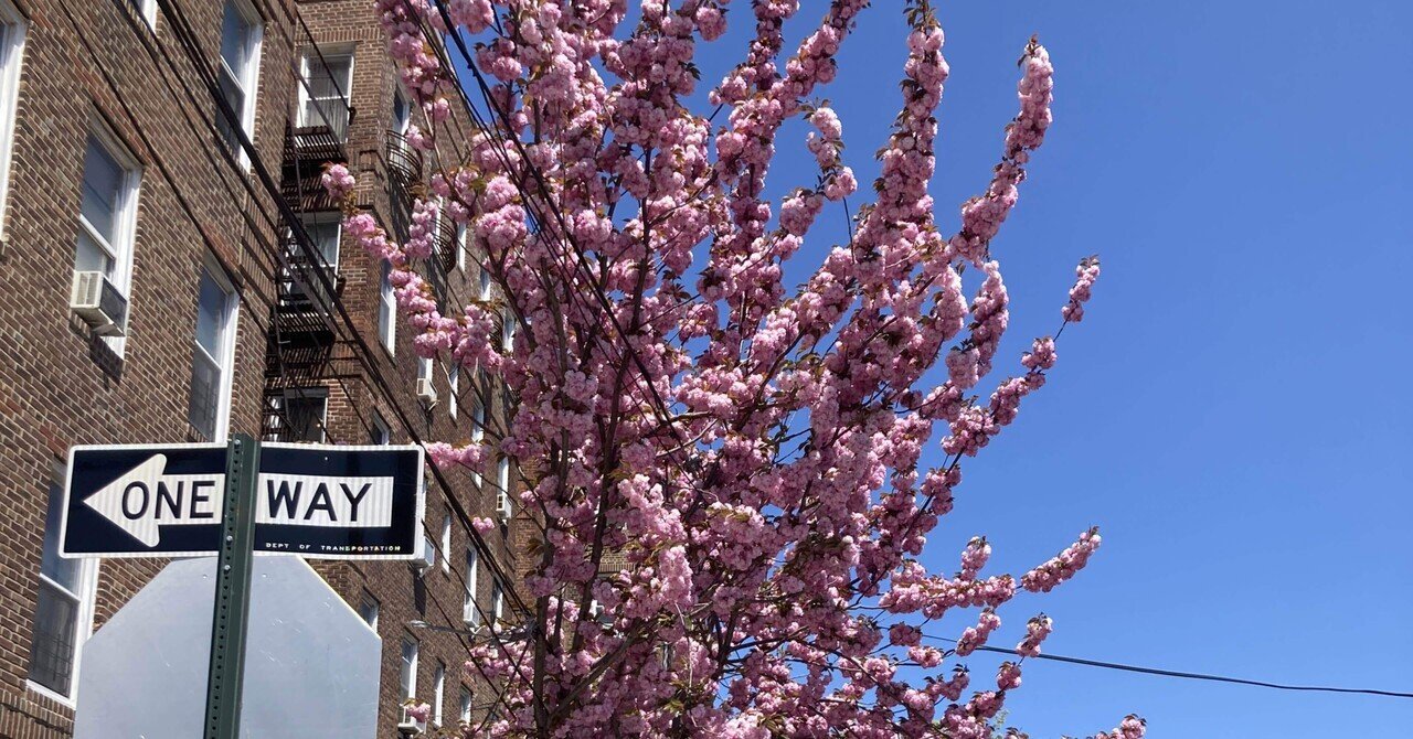 【海外引越】渡米準備あれこれ①｜Yuuka H