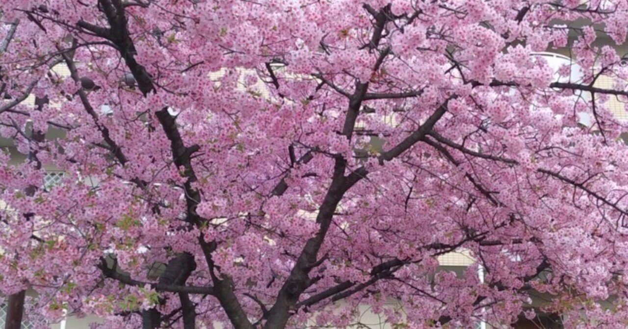 新人君がやって来て/就職当時の気持ちと今の私にできる事｜nanako K