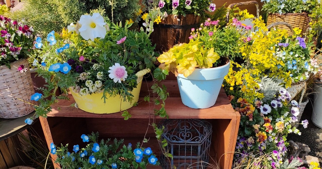 春をたくさん見つける｜saku｜note