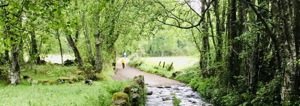 天田祐介（Amada Yusuke）｜note