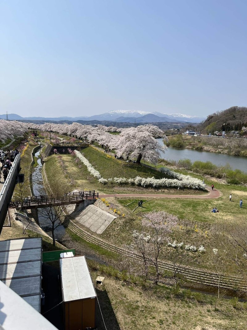 一目千本桜｜asumin｜note