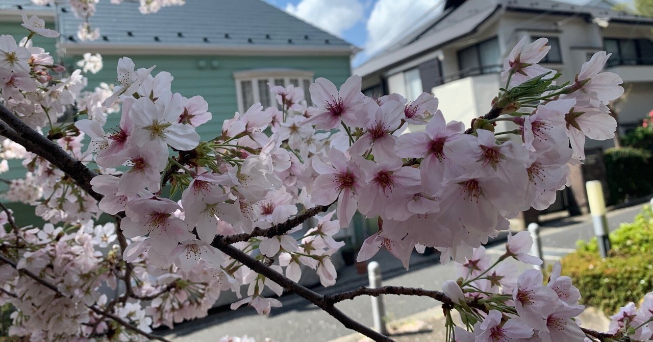 復職して1ヶ月、入院しても働ける｜misawa｜note