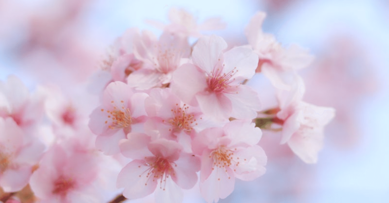 【小説】春の恋人 2｜Tiara｜note