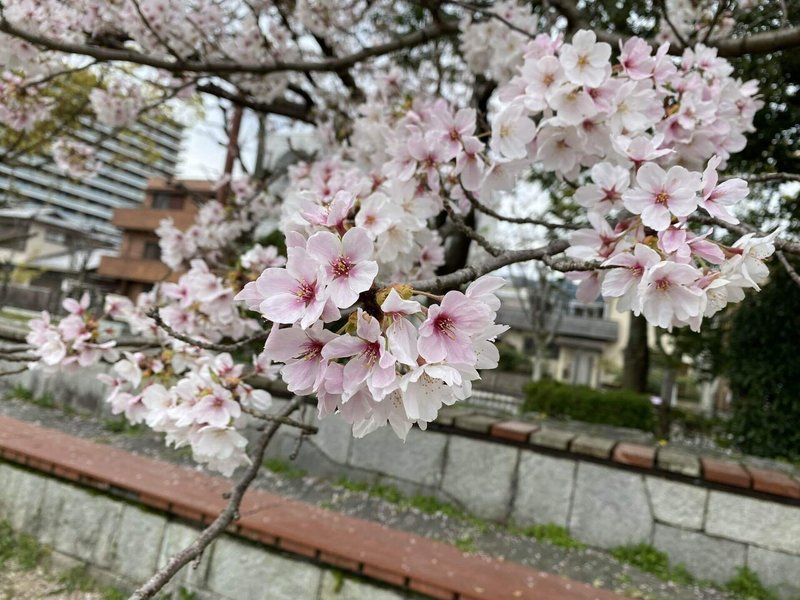 お急ぎのところ｜dai｜note