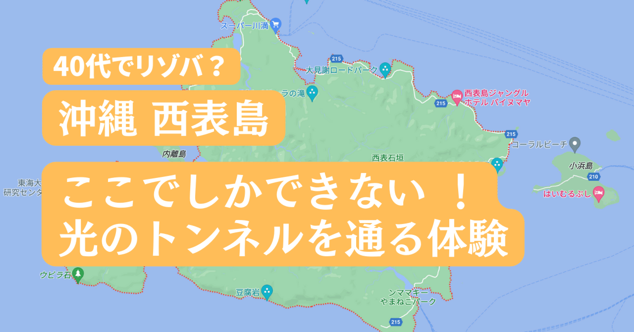 最高！ 八重山ヒメホタルをみてきた！｜だいき＠Daiki`s note
