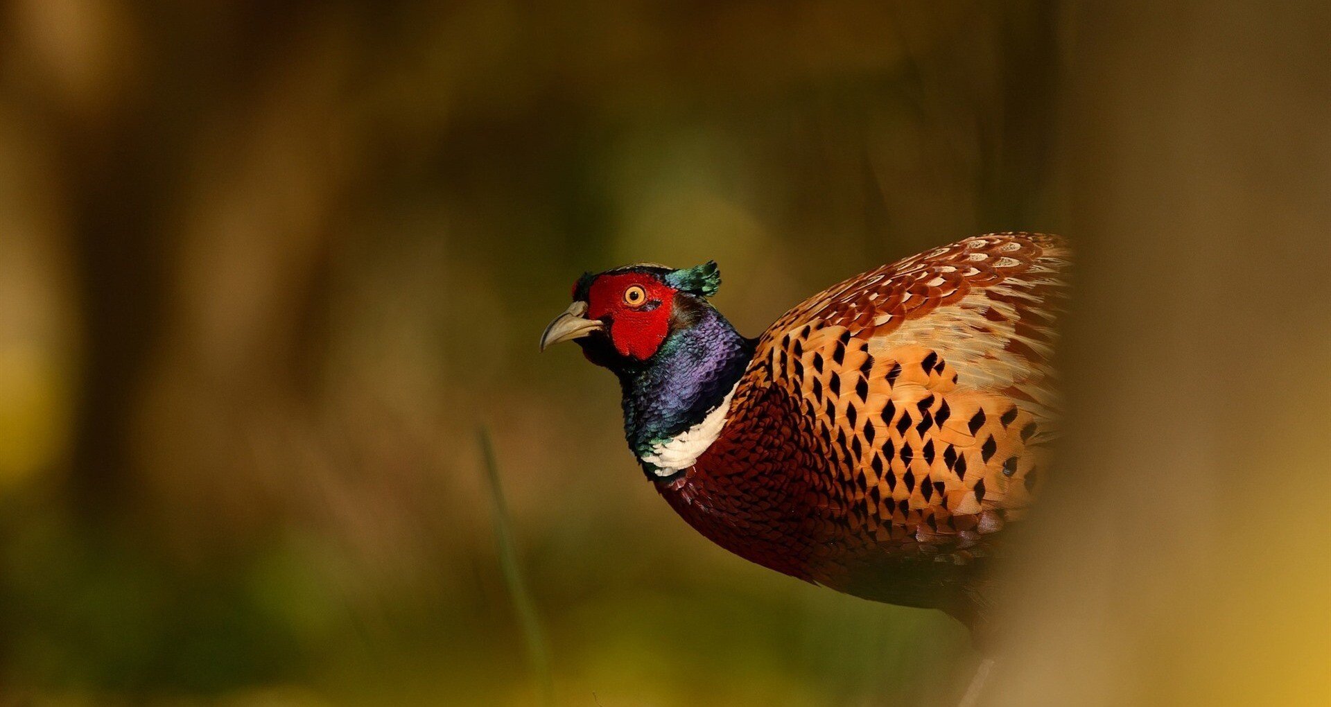 記事にしてみた（テキスト）｜ひろっさん｜note