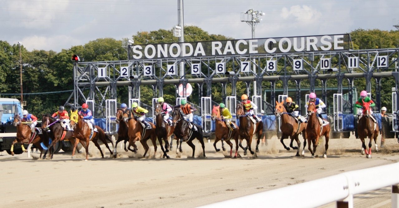【園田競馬👊🔥🔥】激熱予想9r・10r菊水賞 重賞1｜さやだま