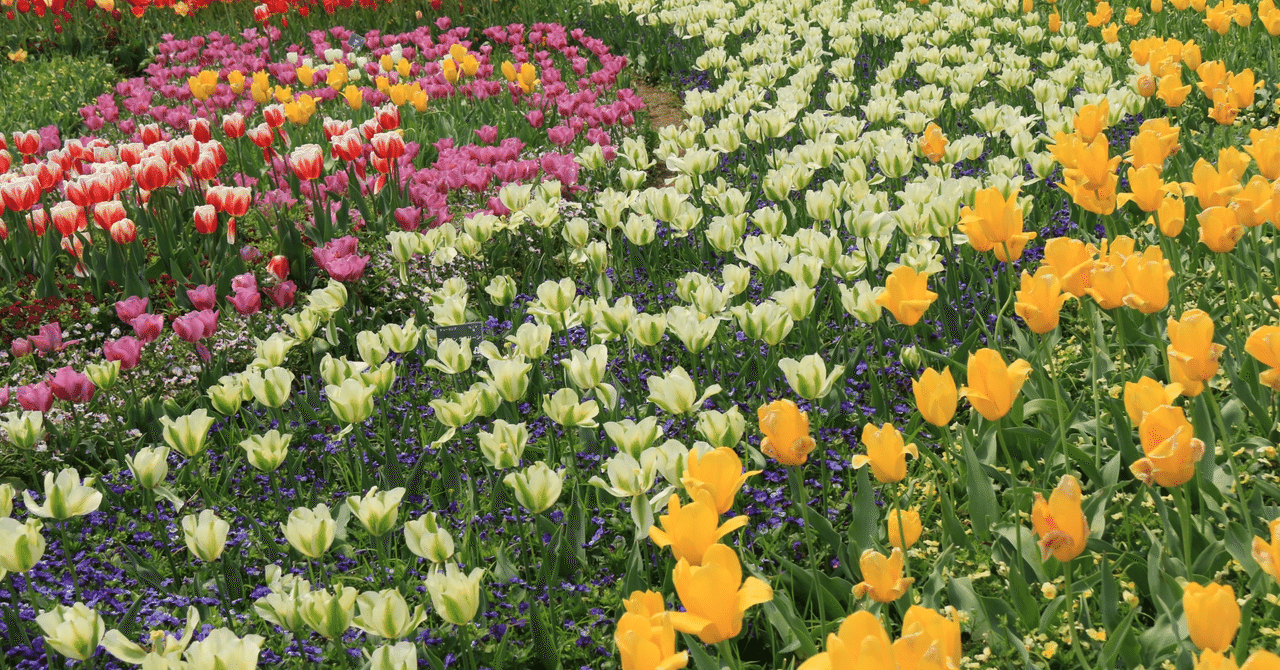 usb ubuntu 認識した｜blue06_2022