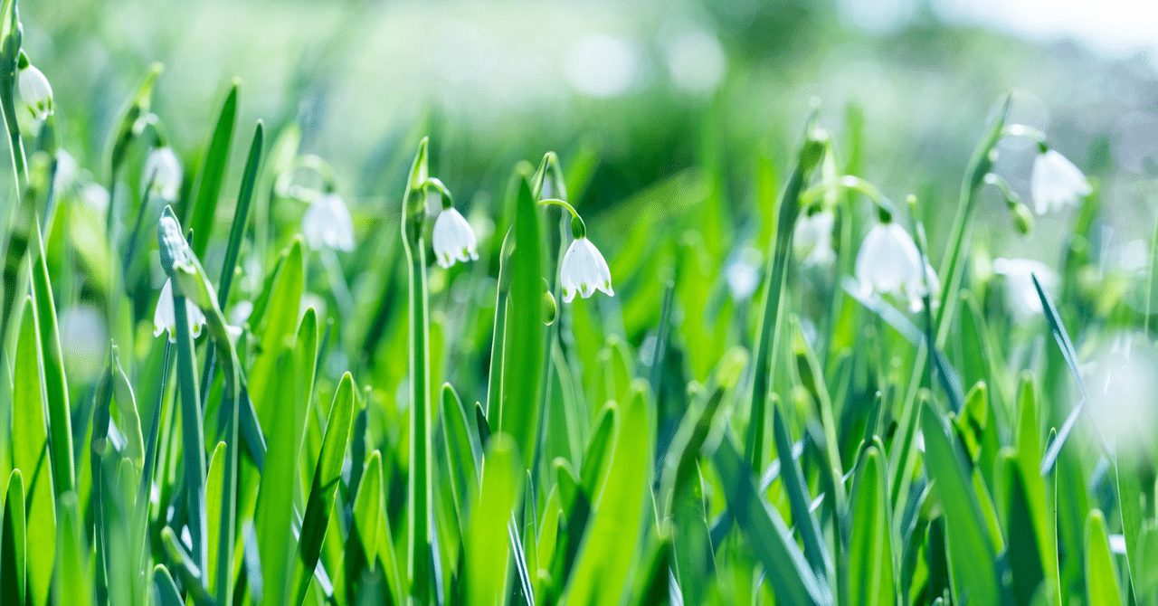 webライターみずきちのポートフォリオ｜Mizuki Harada