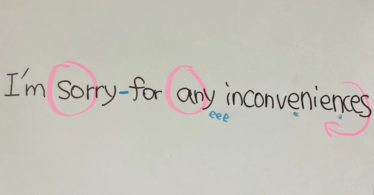 6/365 I’m sorry for any inconveniences｜yolo_365_momo｜note
