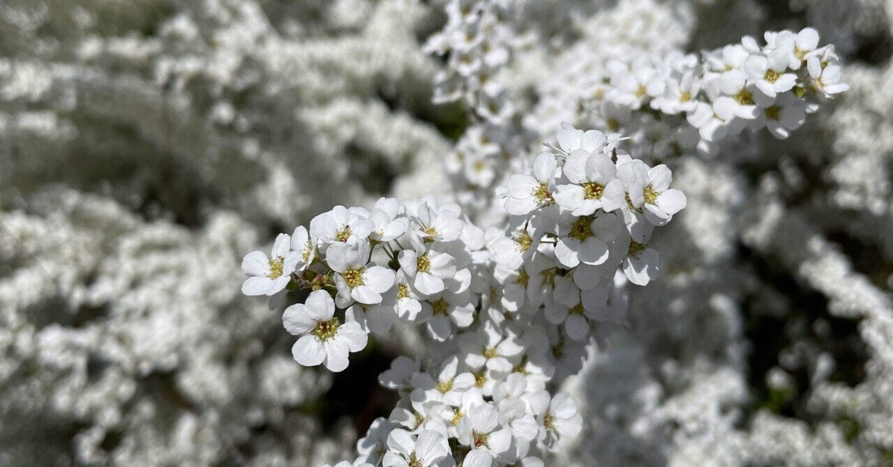 根暗なnote｜yuji hirai