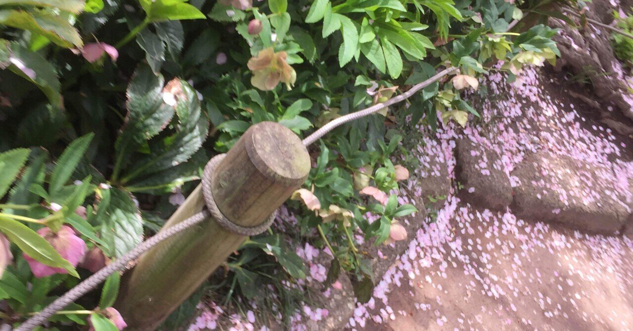 花曇り｜nakiusagi