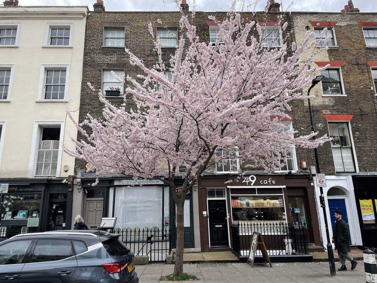 Sakura in London｜risako