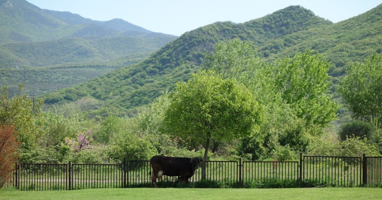ChatGPTを活用するヒント｜KY研究所@CoderDojo横浜港北ニュータウンやってます｜note