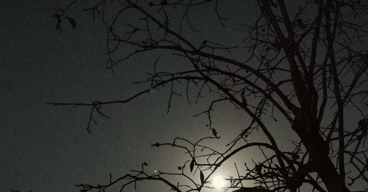 春の嵐｜Yumeka.yy｜note