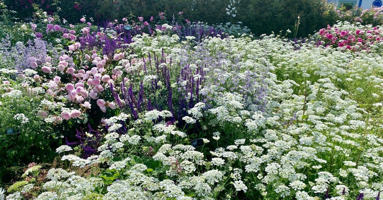 信じる｜haru｜note