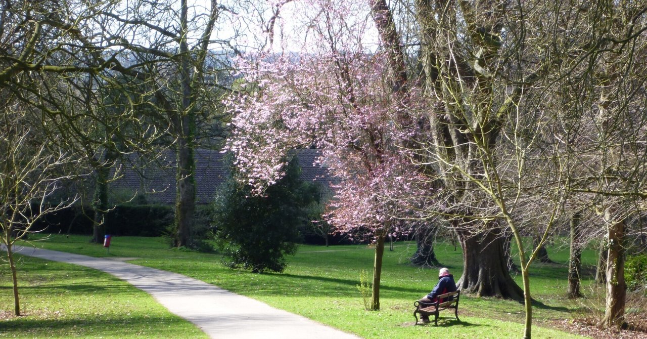 英語の話し言葉と書き言葉｜T. Kobayashi (Kyappy English)