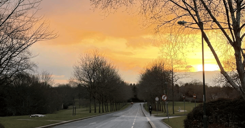 ハンカチ｜nori｜note