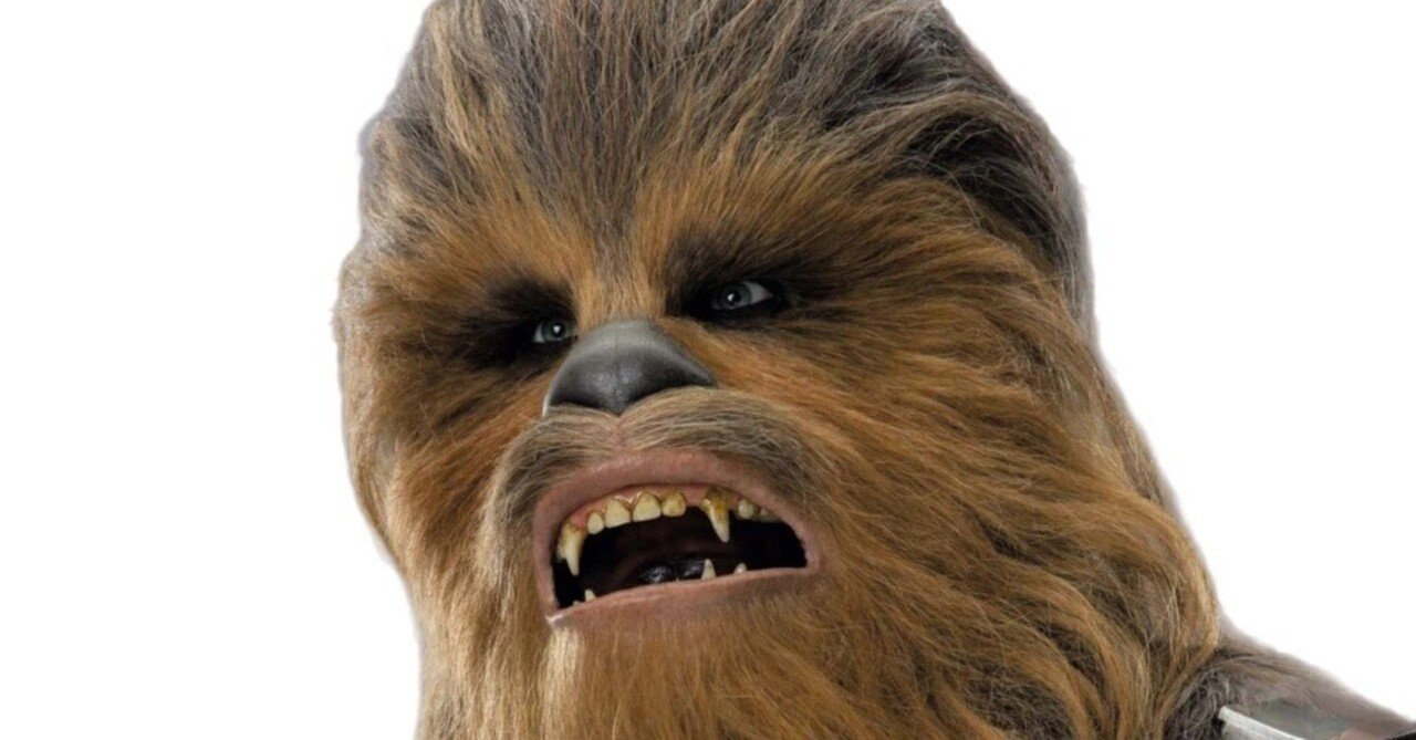 ホント、Chewbacca。｜Back of Bach