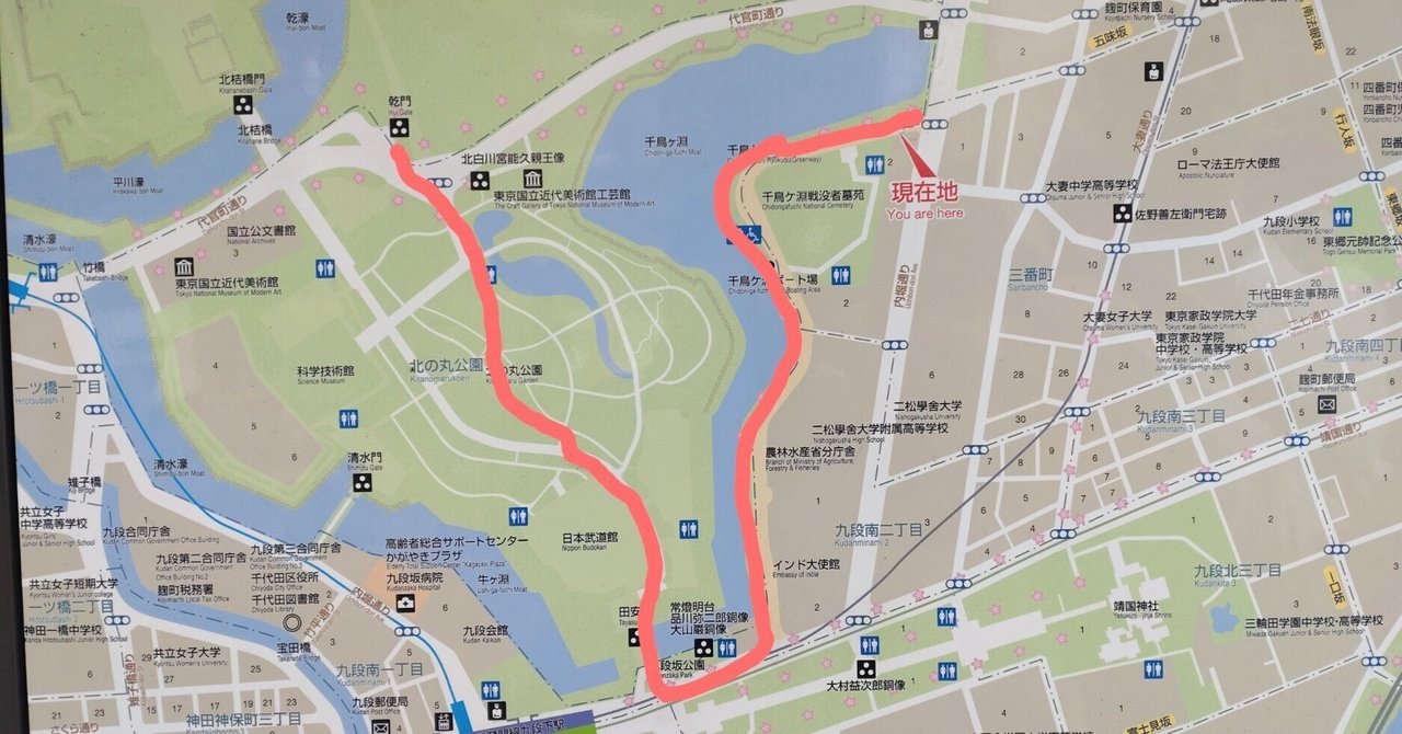 【東京散歩】春季 皇居乾通り一般公開と千鳥ヶ淵を歩く｜TRIP_YUKO｜お出かけジャンキー