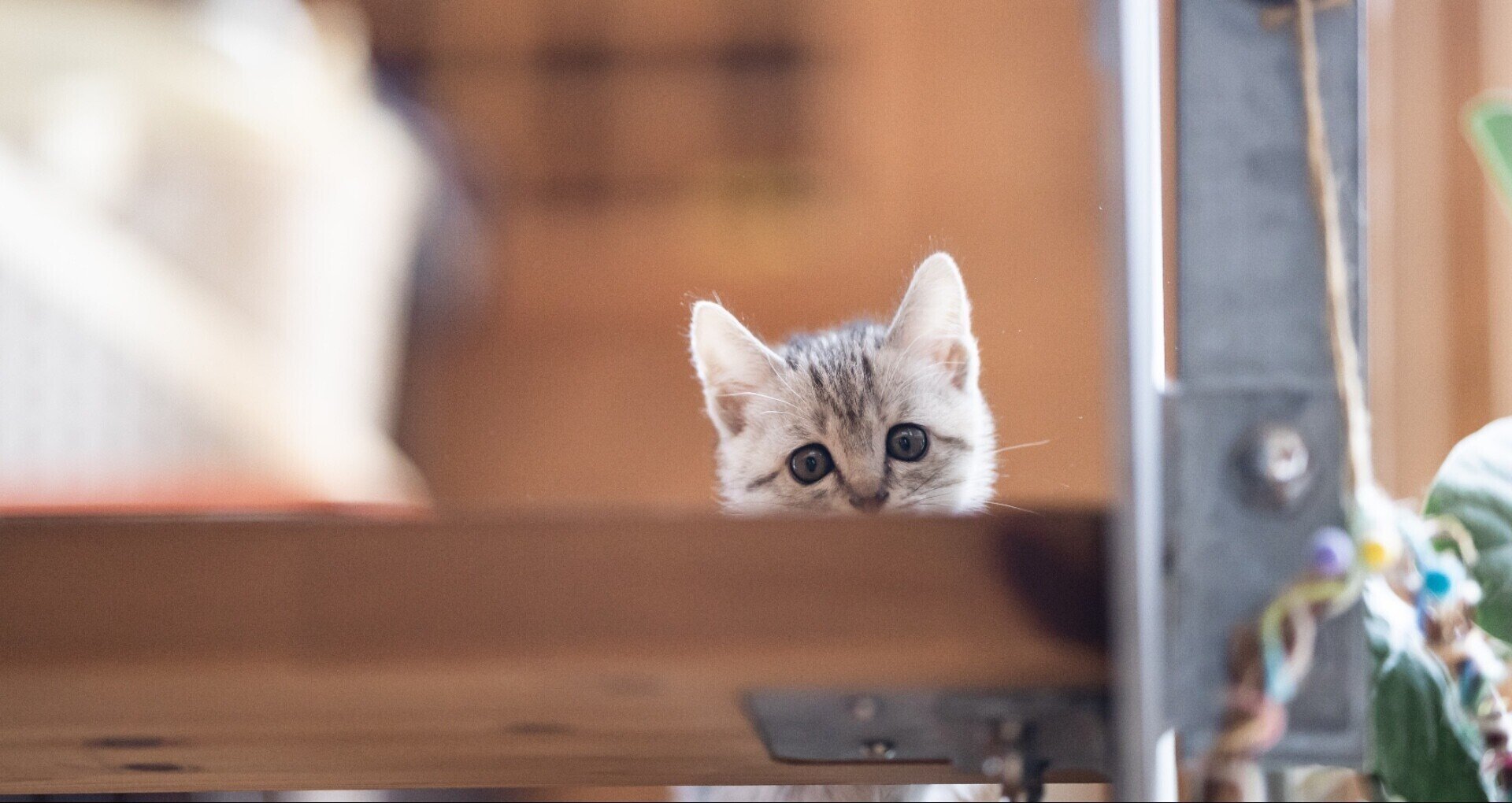 Erika Inokuchi｜note