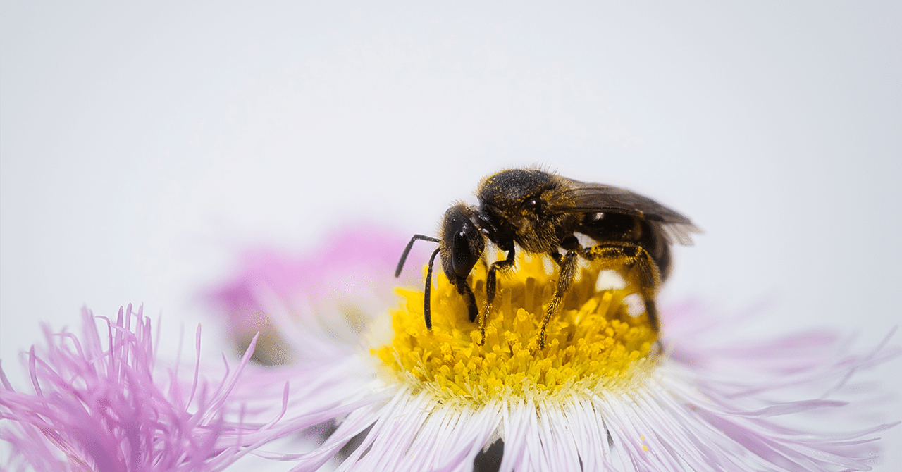 ピックアップ楽曲 2023.4｜oka｜note