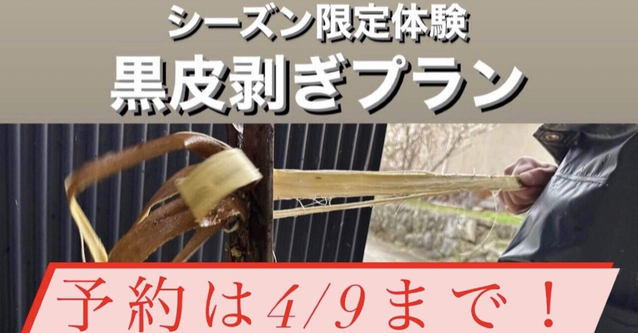 限定プラン締め切ります｜Tact Masuda｜note