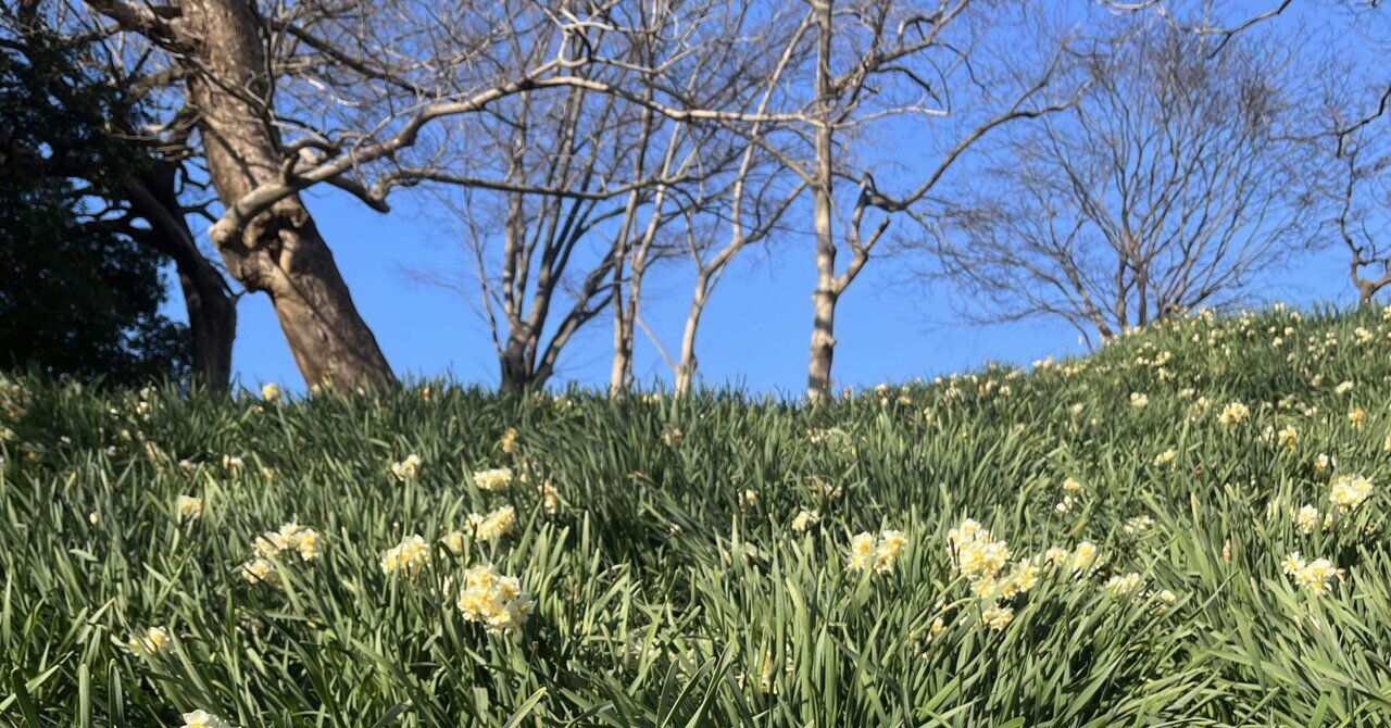 なぜ、いま、noteなのか。｜Sayaka Kawase