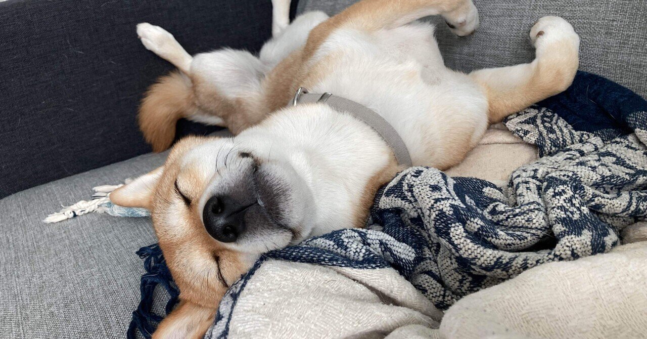 小休憩と赤ちゃんとの生活｜723nk｜note