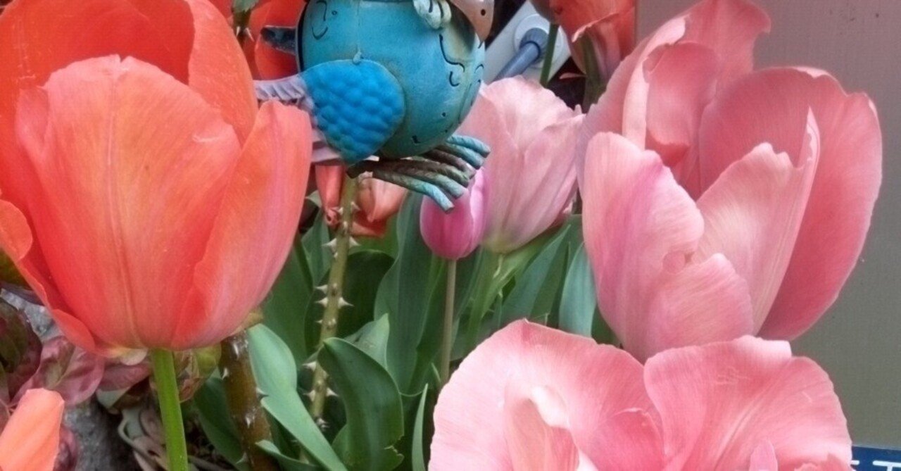 ライトワーカーの為のメンタルの癒し（執着を手放す）｜mother_yuuki｜note