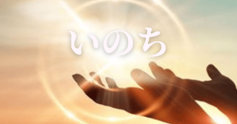 北村麻衣（Mai KITAMURA）｜note