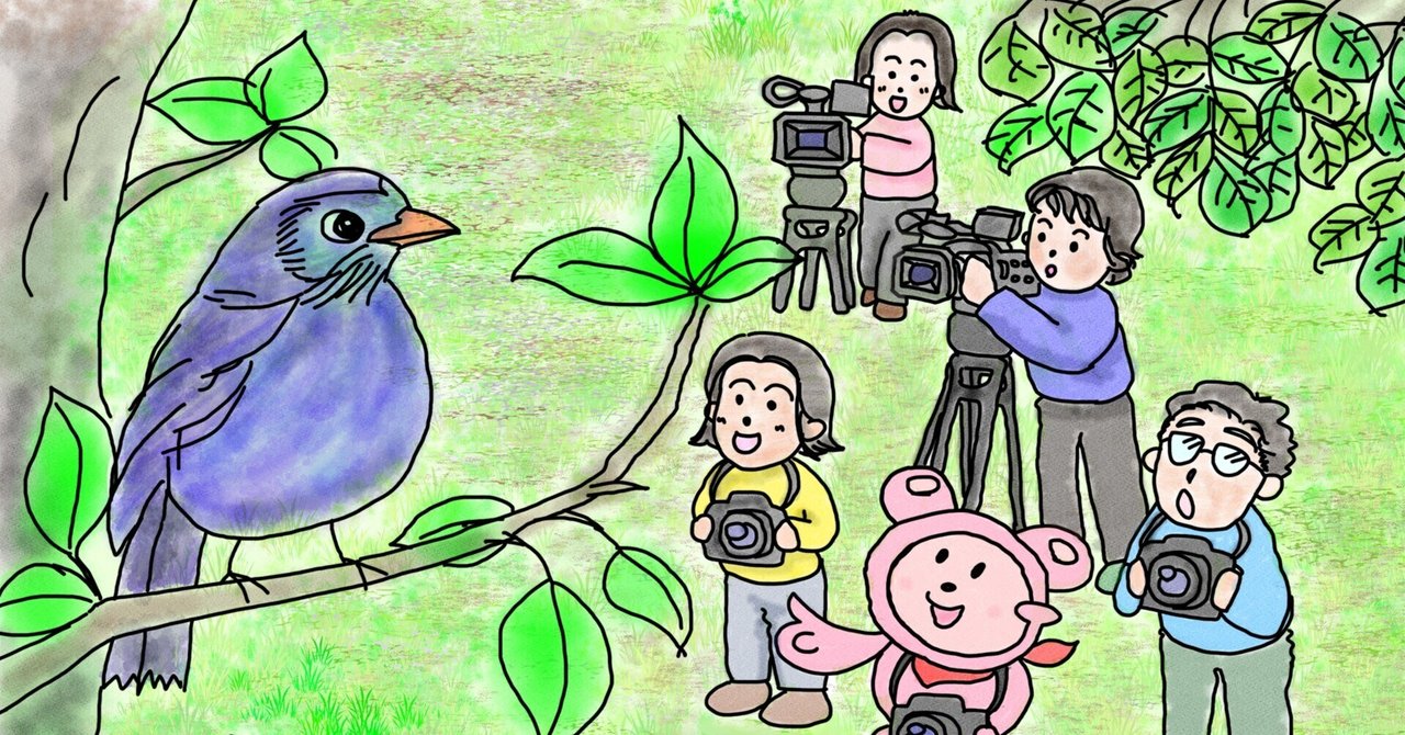 春のポップができました ~つながる本棚「hito-haco」~｜ぐっでぃテレビ 映像クリエイティブLab｜note