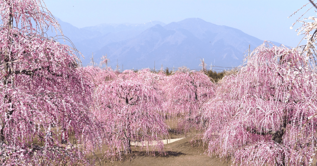 20230408｜Onsite｜note